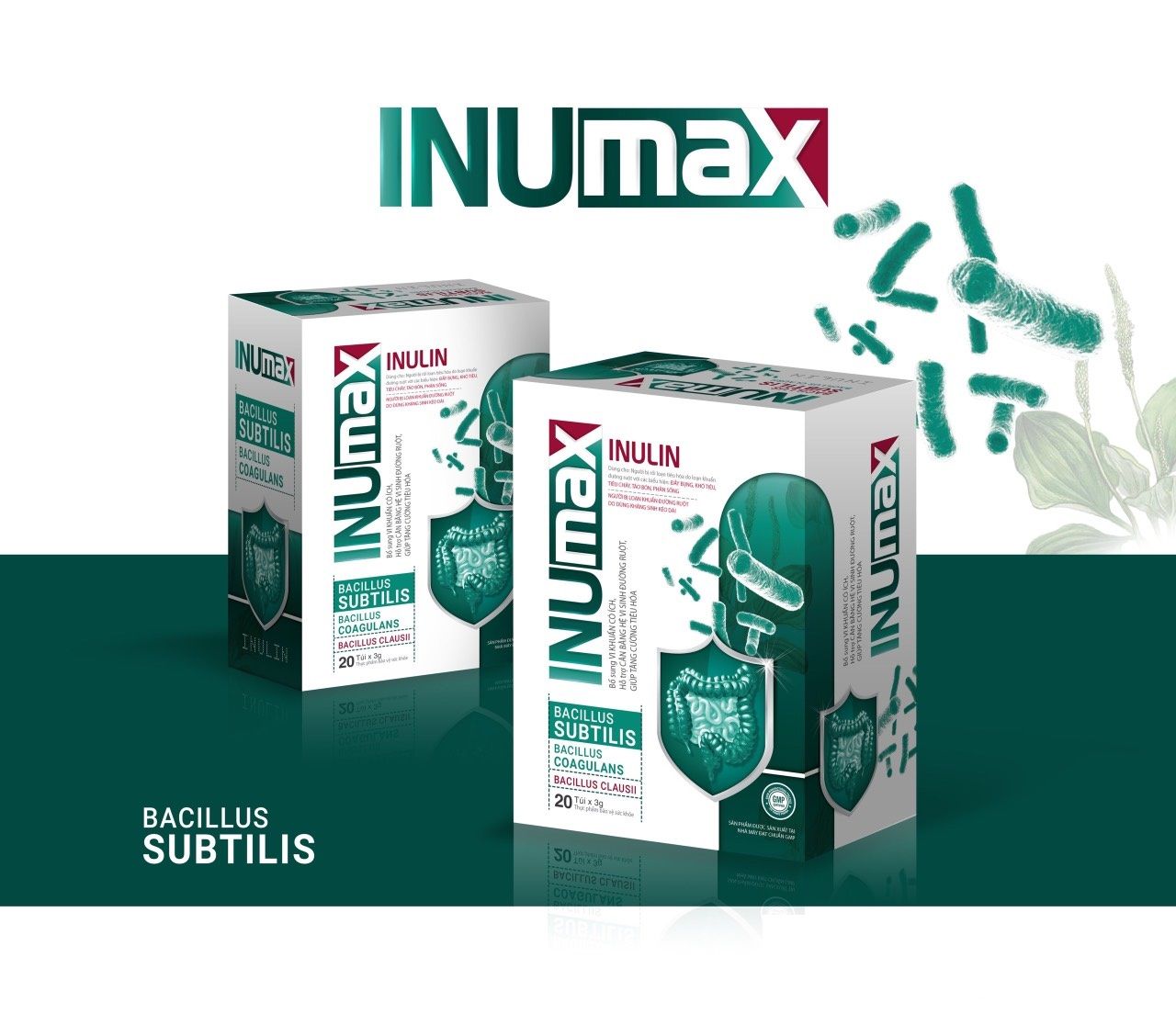 Thực phẩm bảo vệ sức khỏe INUMAX | iCheck.vn