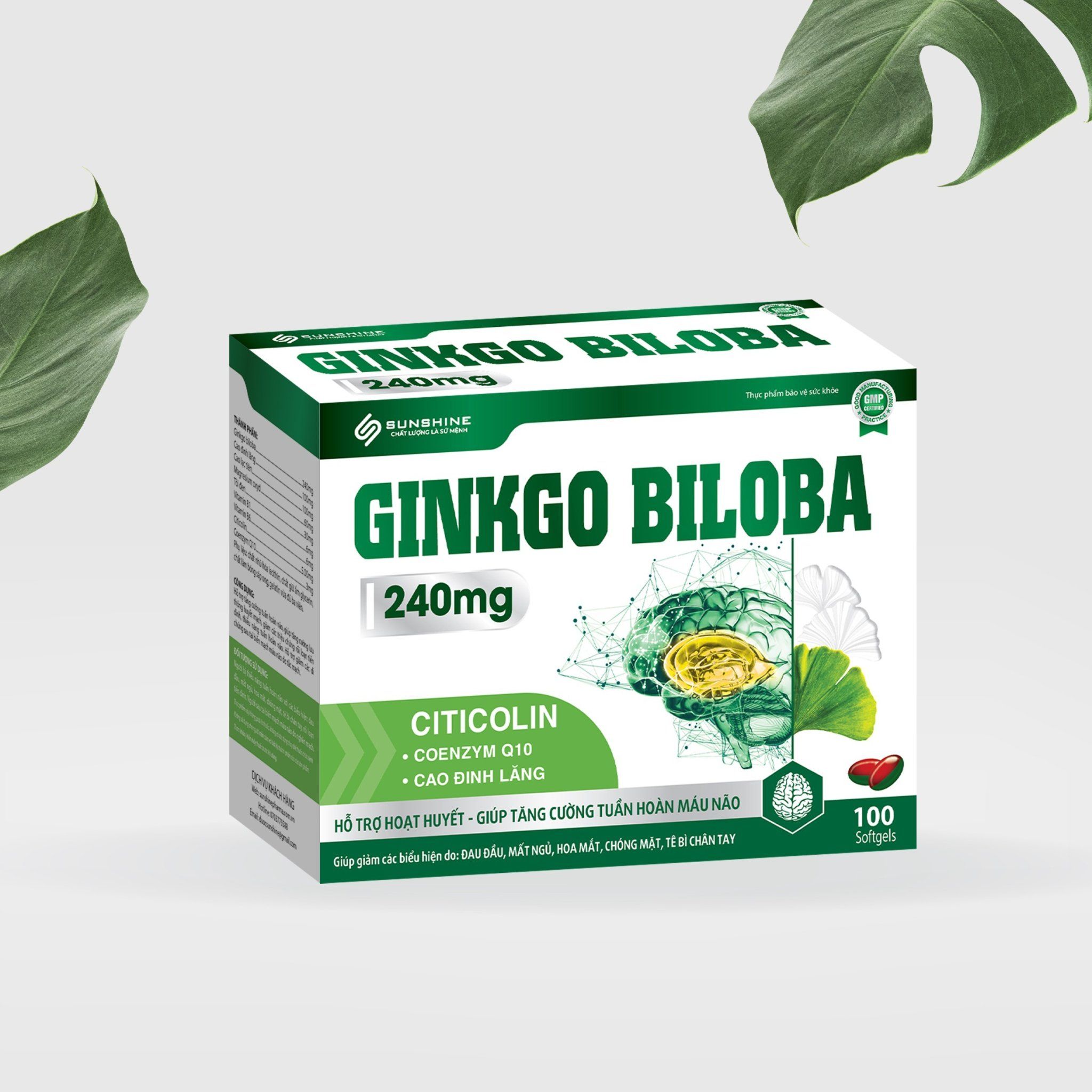 GINKGO BILOBA 240mg - 100 VIÊN | iCheck.vn