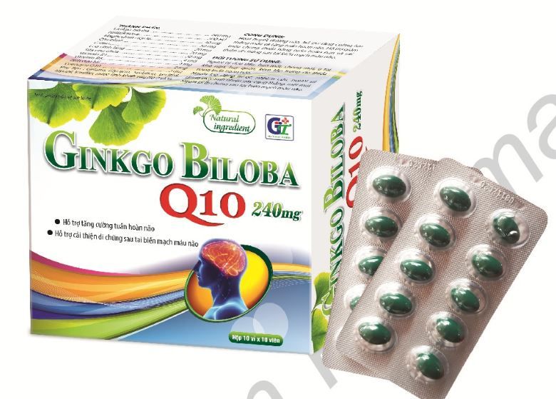Ginkgo biloba Q10 240mg | iCheck.vn