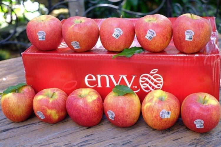 What is an Apple Barcode? How to Read and Accurately Decode it in 2025