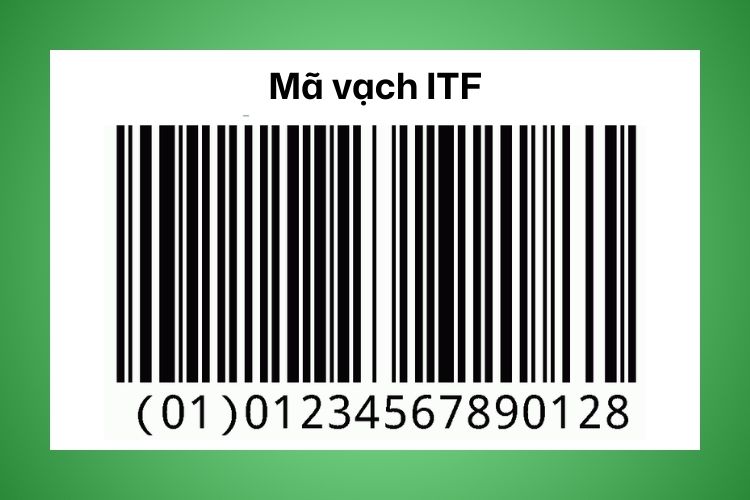 Mã vạch ITF là gì? Cấu trúc, ứng dụng và hướng dẫn tạo